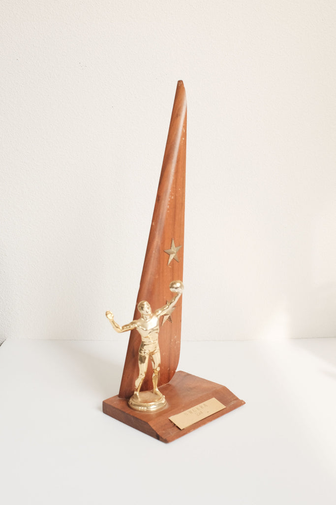 Vintage Volleyball Trophy – MicroscopeTelescope